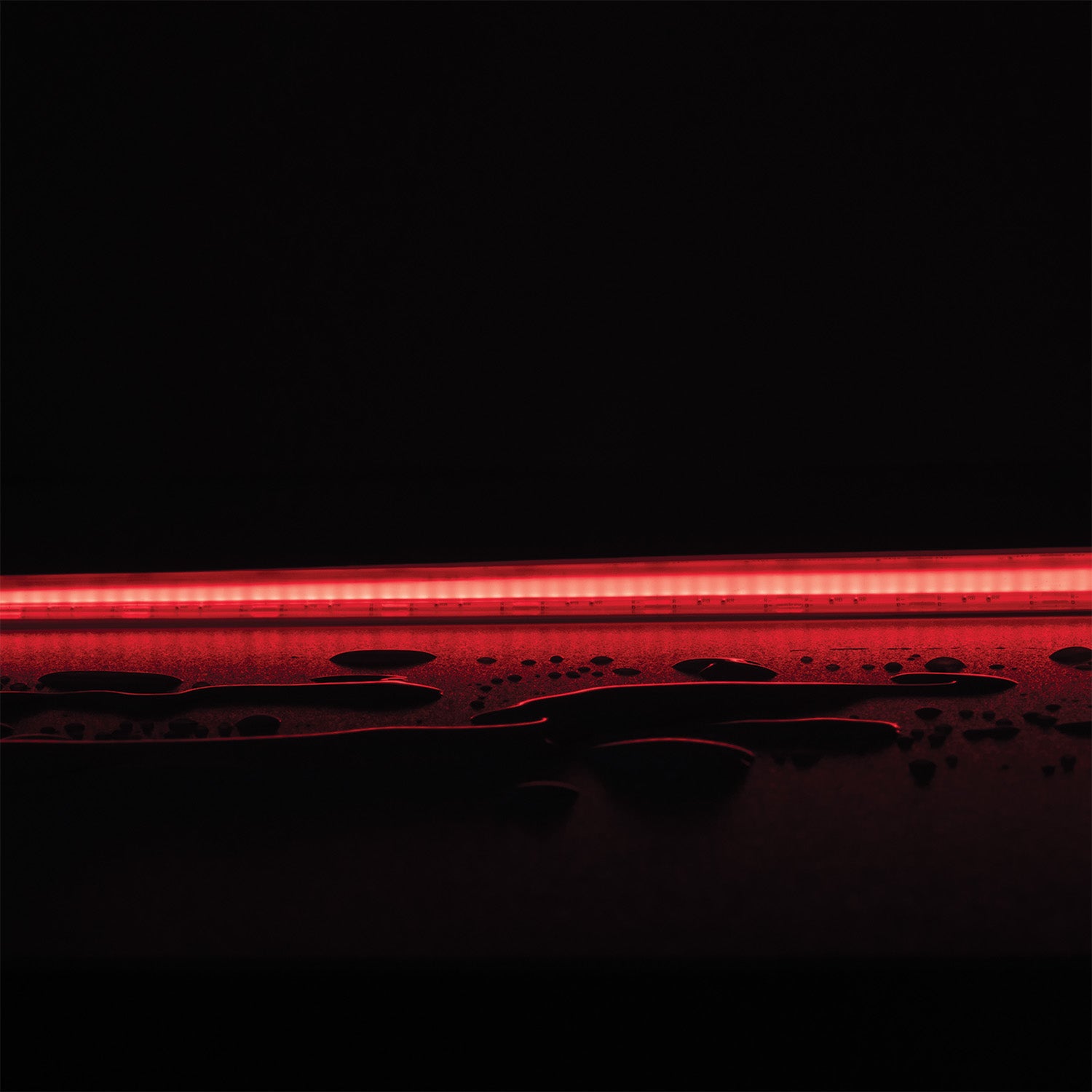 Domus Lighting | 24156 Domus PLEX RGB 14W P/M COB Strip 24V IP54 840LED ...
